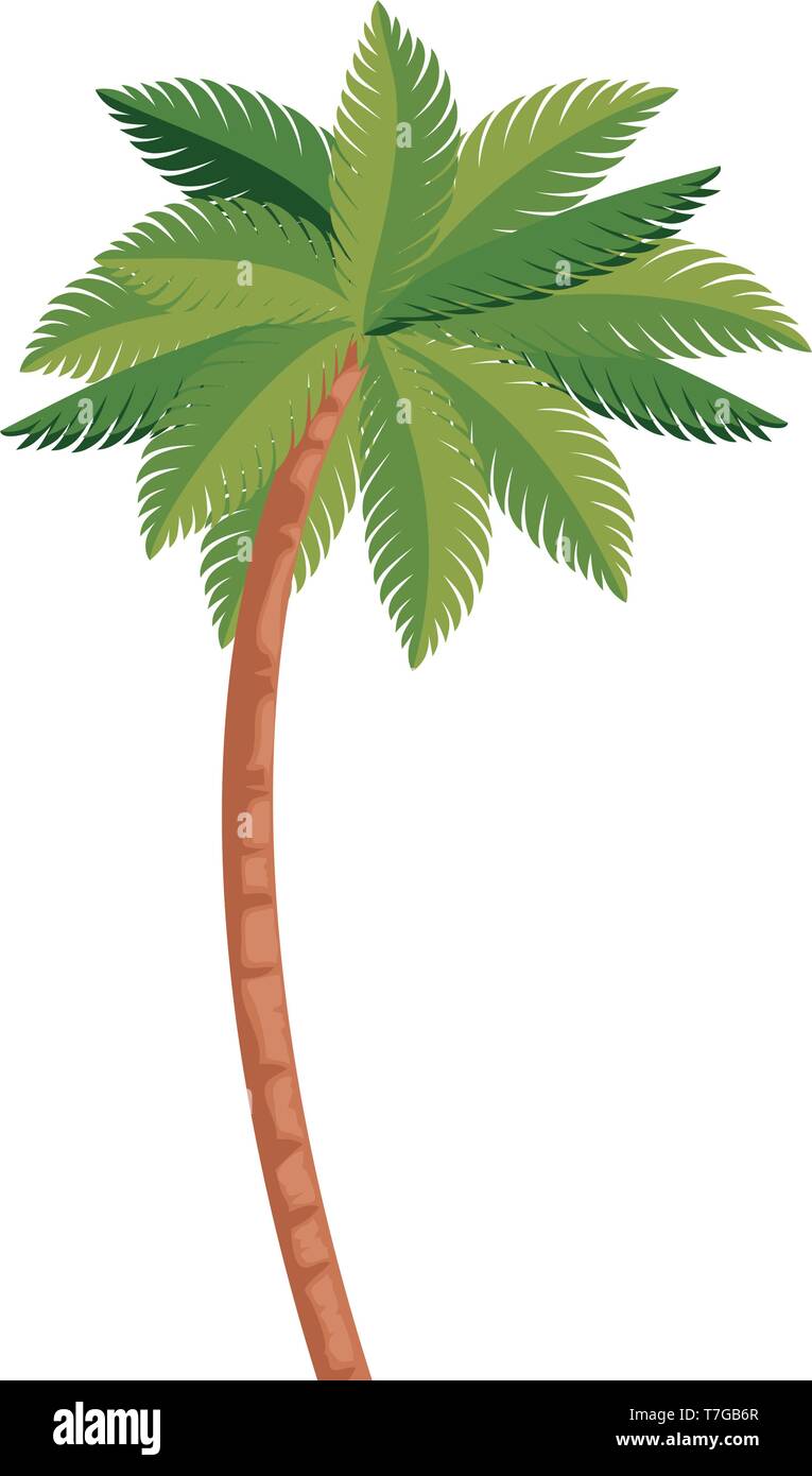 tropical tree palm icon Stock Vector Image & Art - Alamy