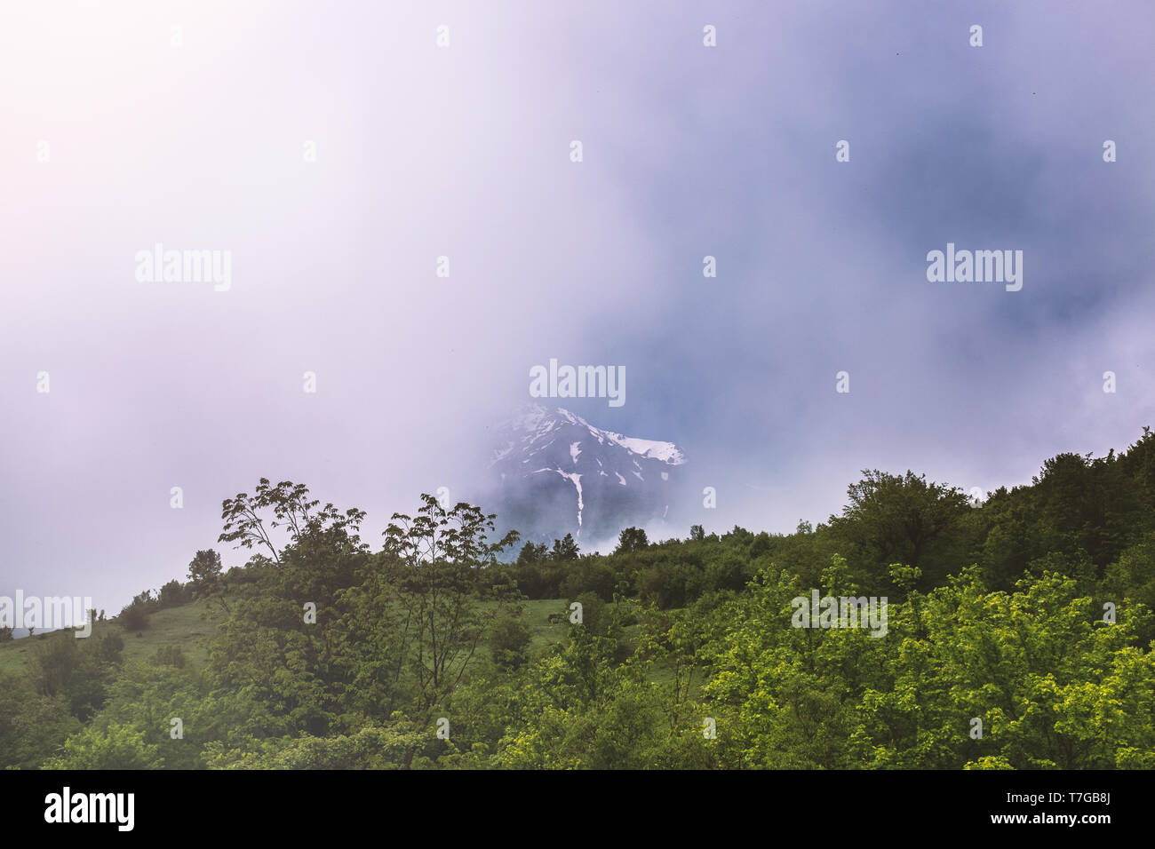 A magical landscape of jungle in the north of Iran which its peak ...
