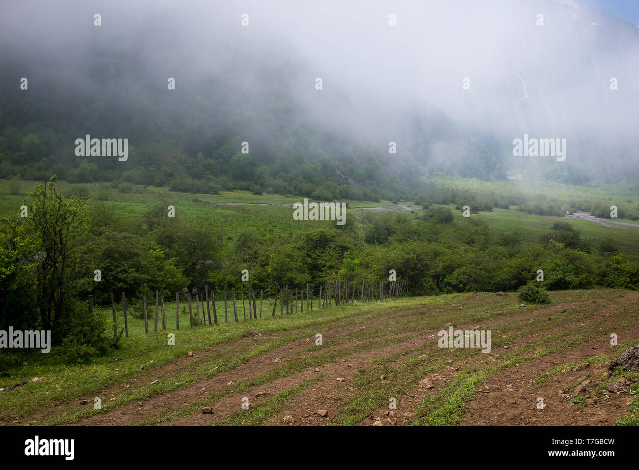 A magical landscape of forest field and forested mountain in the north ...