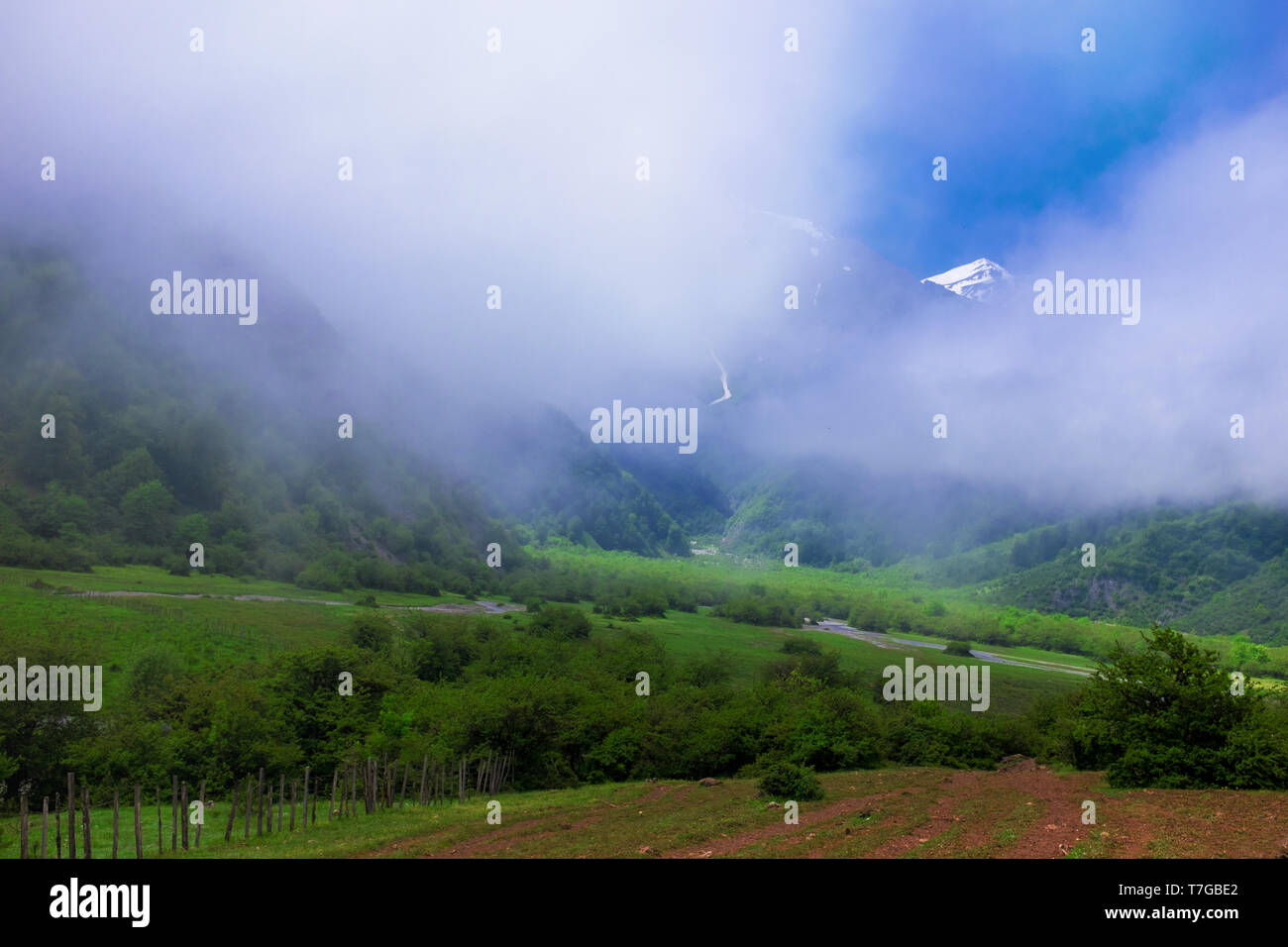 A magical landscape of forest field and forested mountain in the north ...