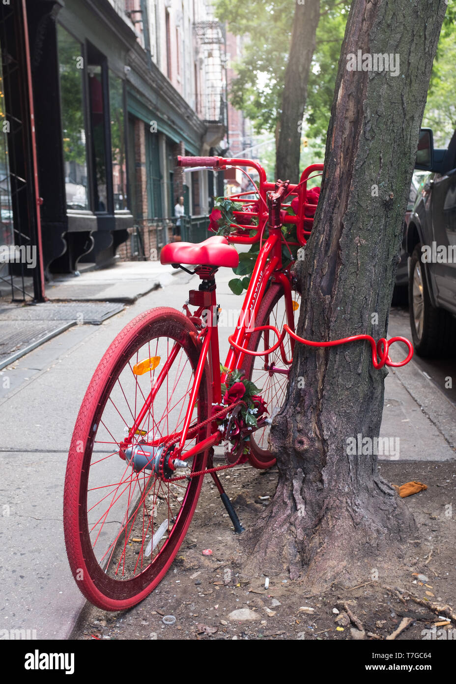 trunkRed bicycle tied to a tree in Manhattan,New York City, New York ...