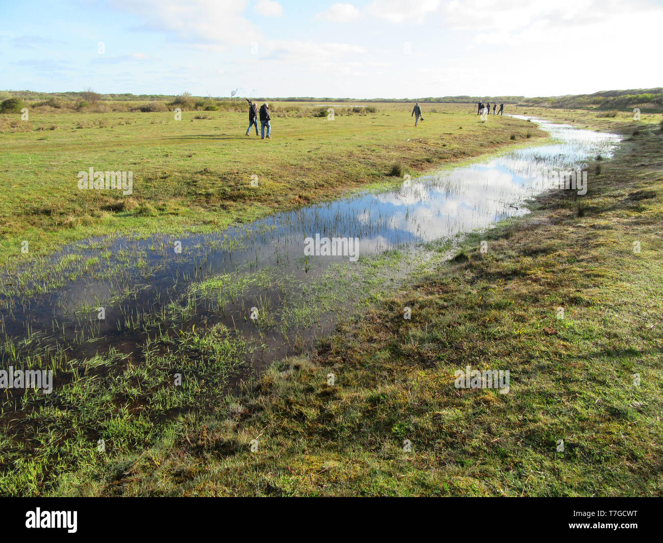 Birdwatchers in “de Nederlanden” on Wadden island of Texel in the ...