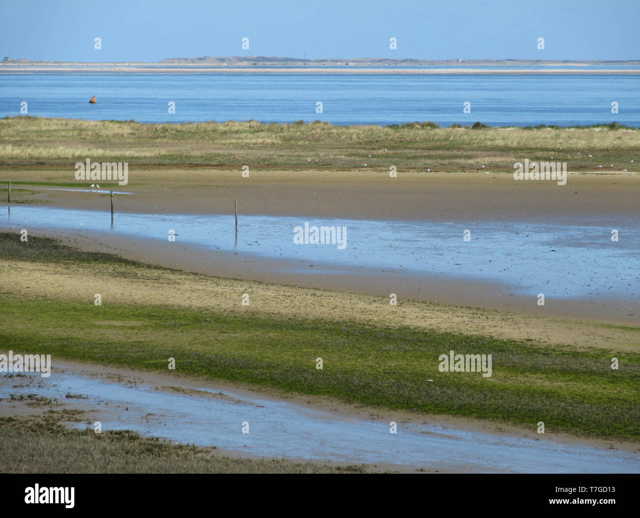 Vlieland nature reserve hi-res stock photography and images - Alamy