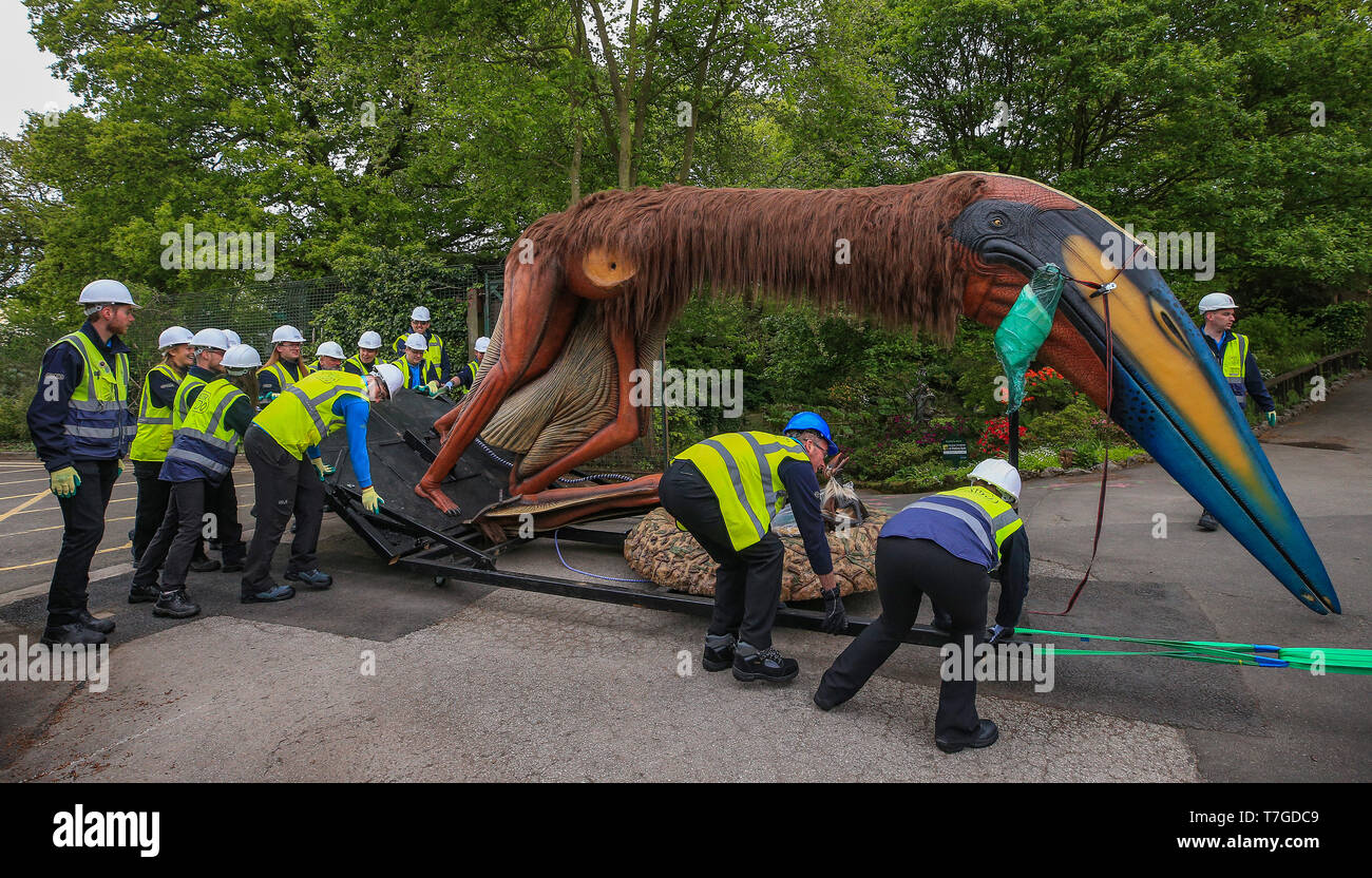 Quetzalcoatlus Model High Resolution Stock Photography and Images - Alamy