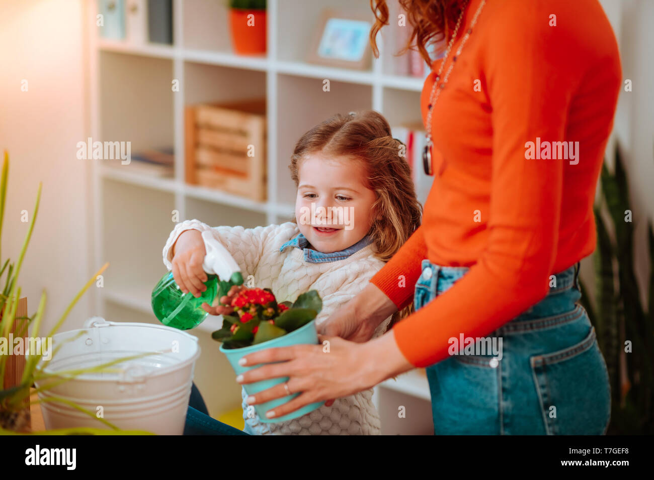 Sprinkling flowers hi-res stock photography and images - Alamy