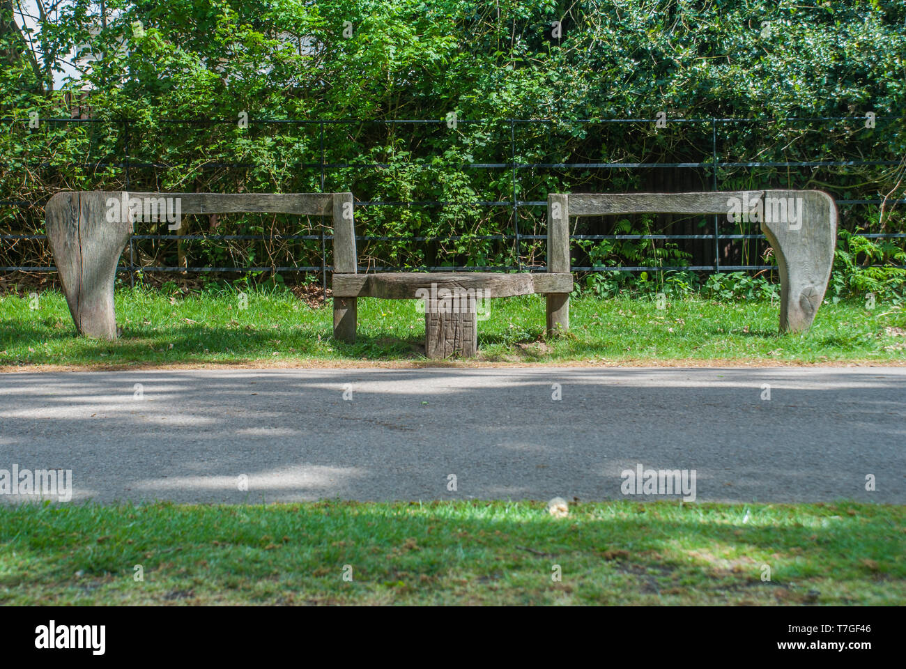 Beautiful and exotic old wooden seats during a stroll in Richmond Park ...