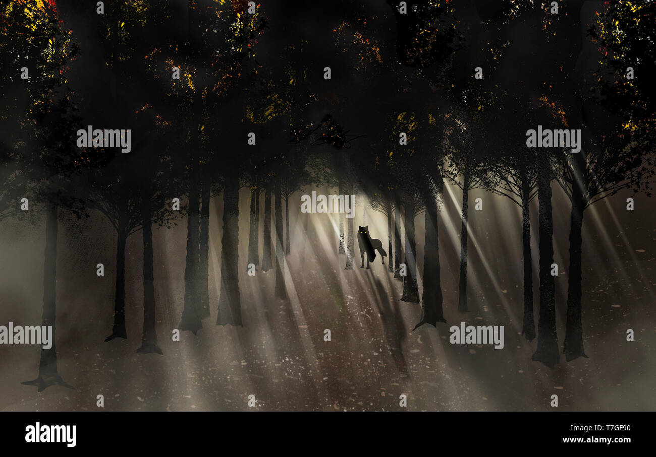 A black shadowy wolf with glowing eyes is seen in a foggy forest in ...