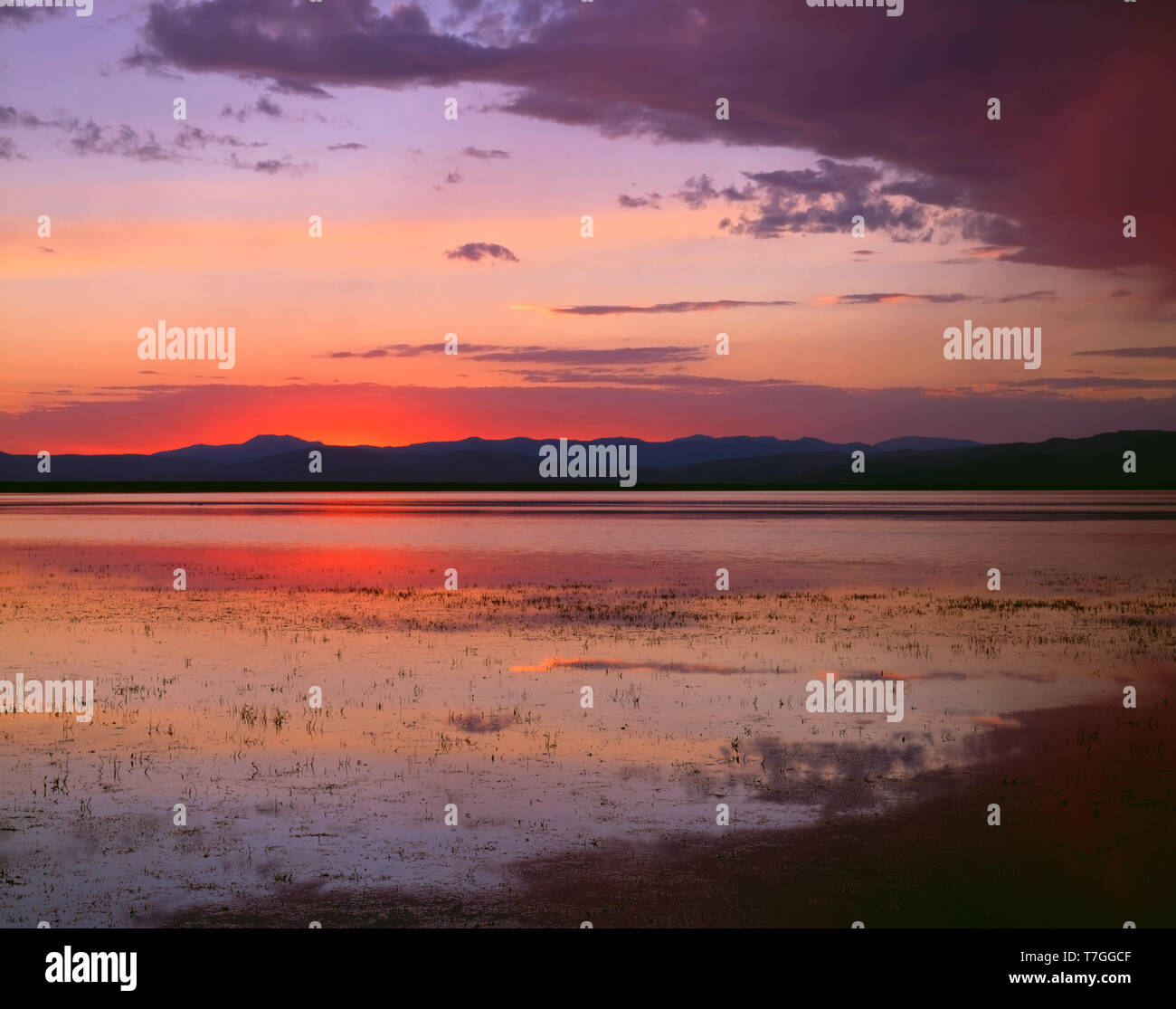 USA, Montana, Red Rock Lakes National Wildlife Refuge, Sunset reddens ...