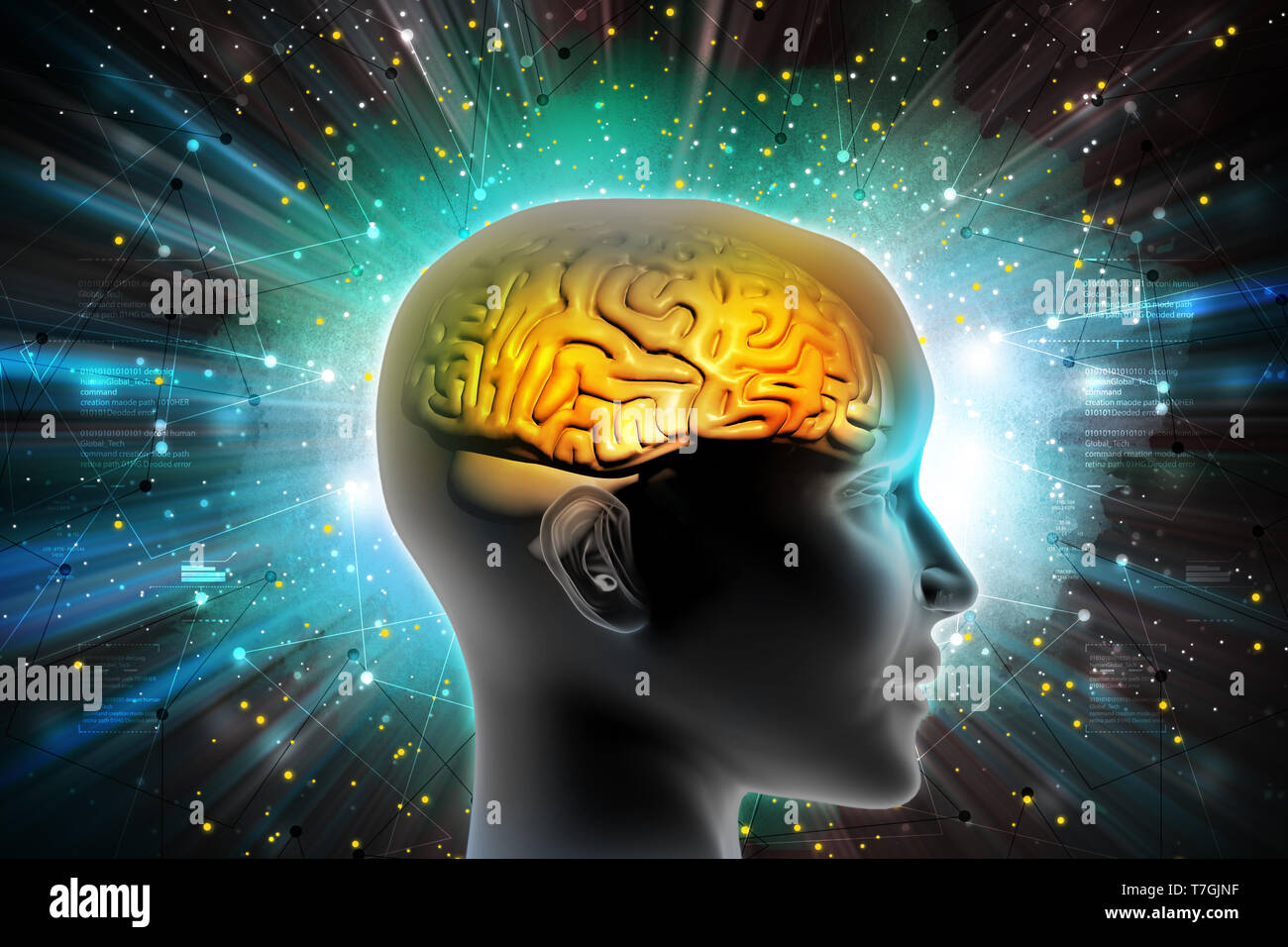 Transparent human head showing brain hi-res stock photography and ...