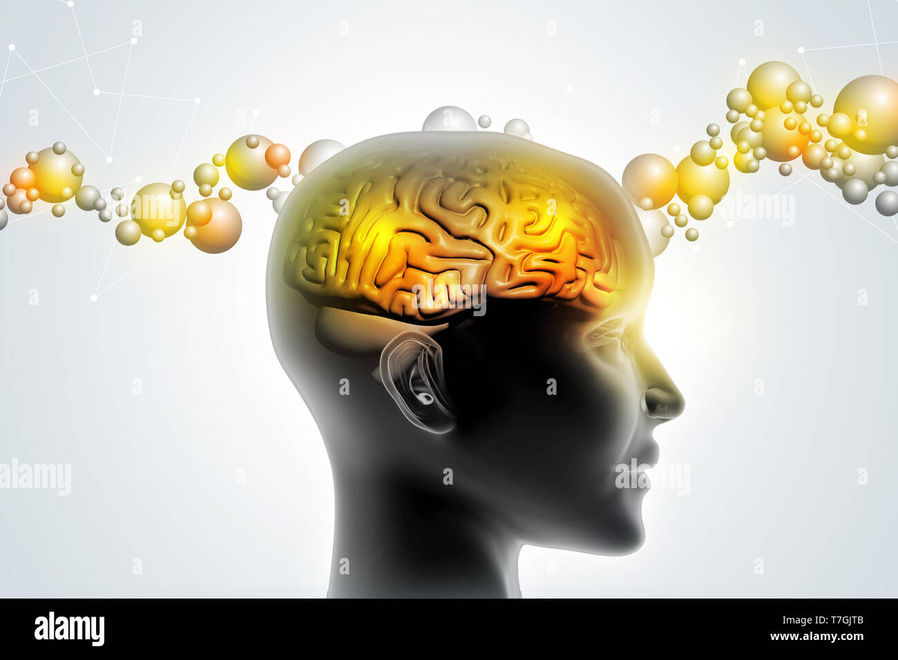 Transparent human head showing brain hi-res stock photography and ...
