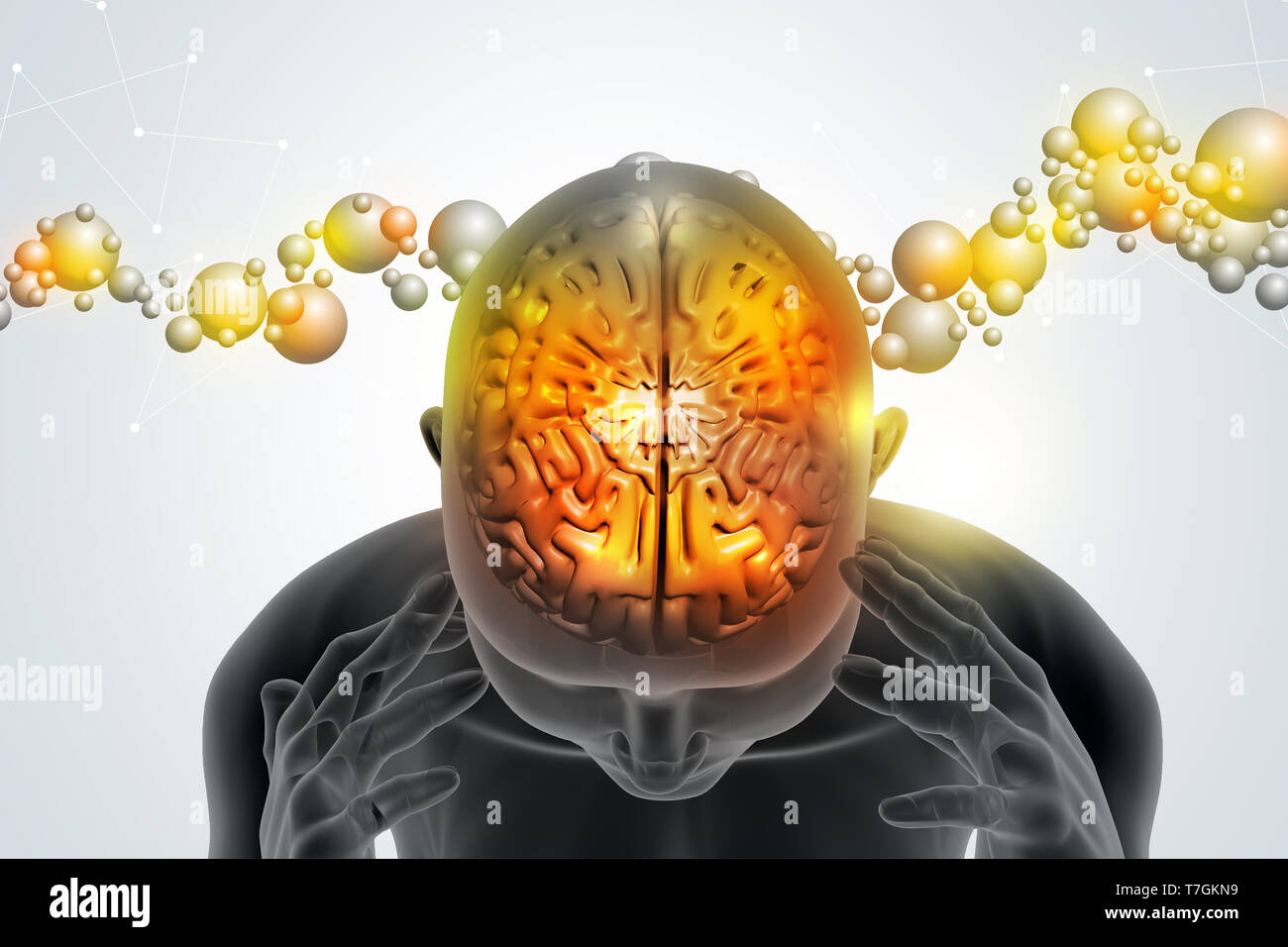 Man head showing the human brain Stock Photo - Alamy