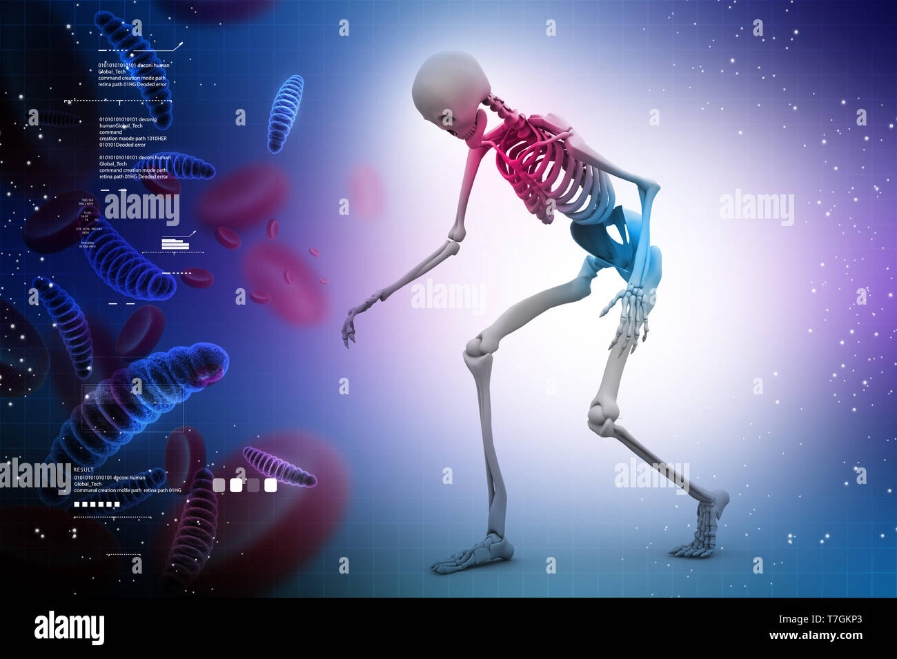 Human skelton hi-res stock photography and images - Alamy
