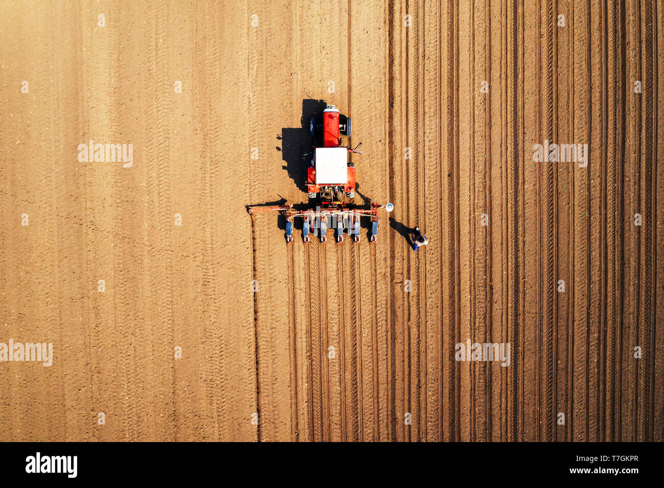 Aerial view of farmer and tractor with crop seeder mounted during corn ...