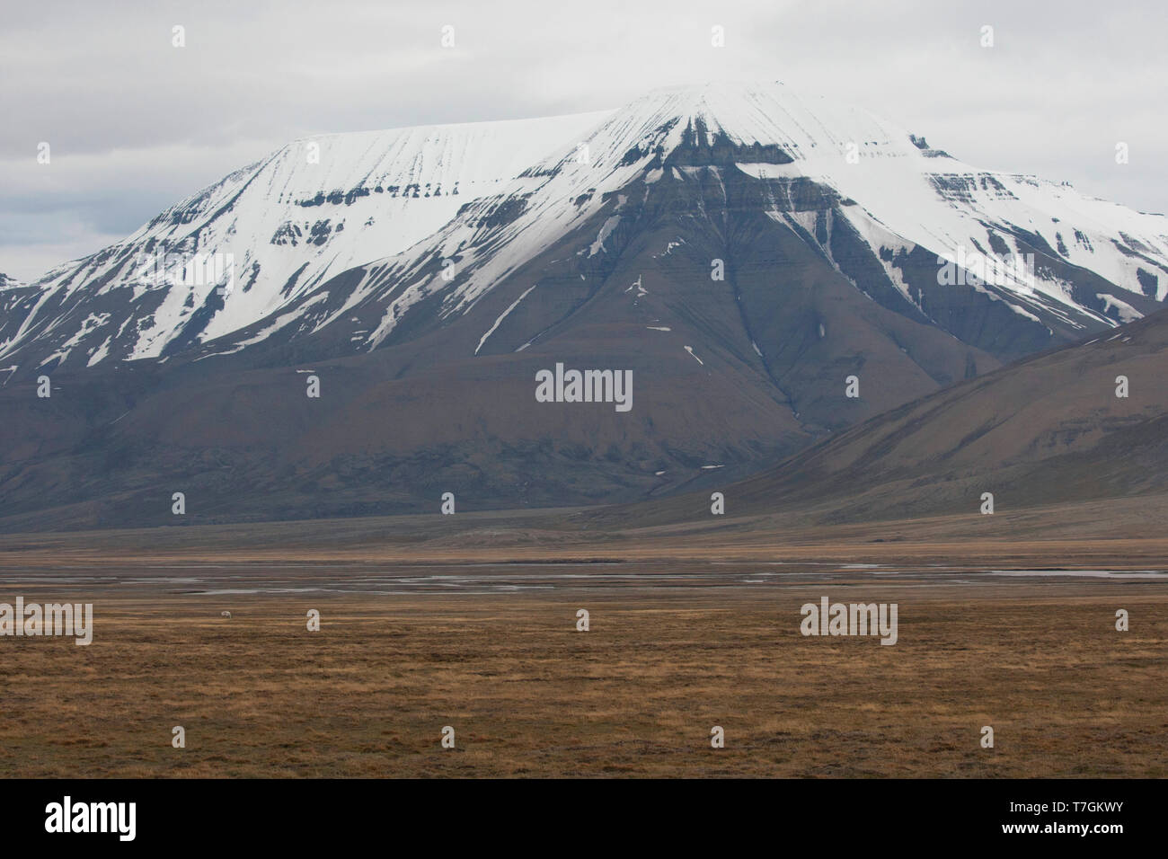 Tundra of Svalbard, Arctic Norway Stock Photo - Alamy