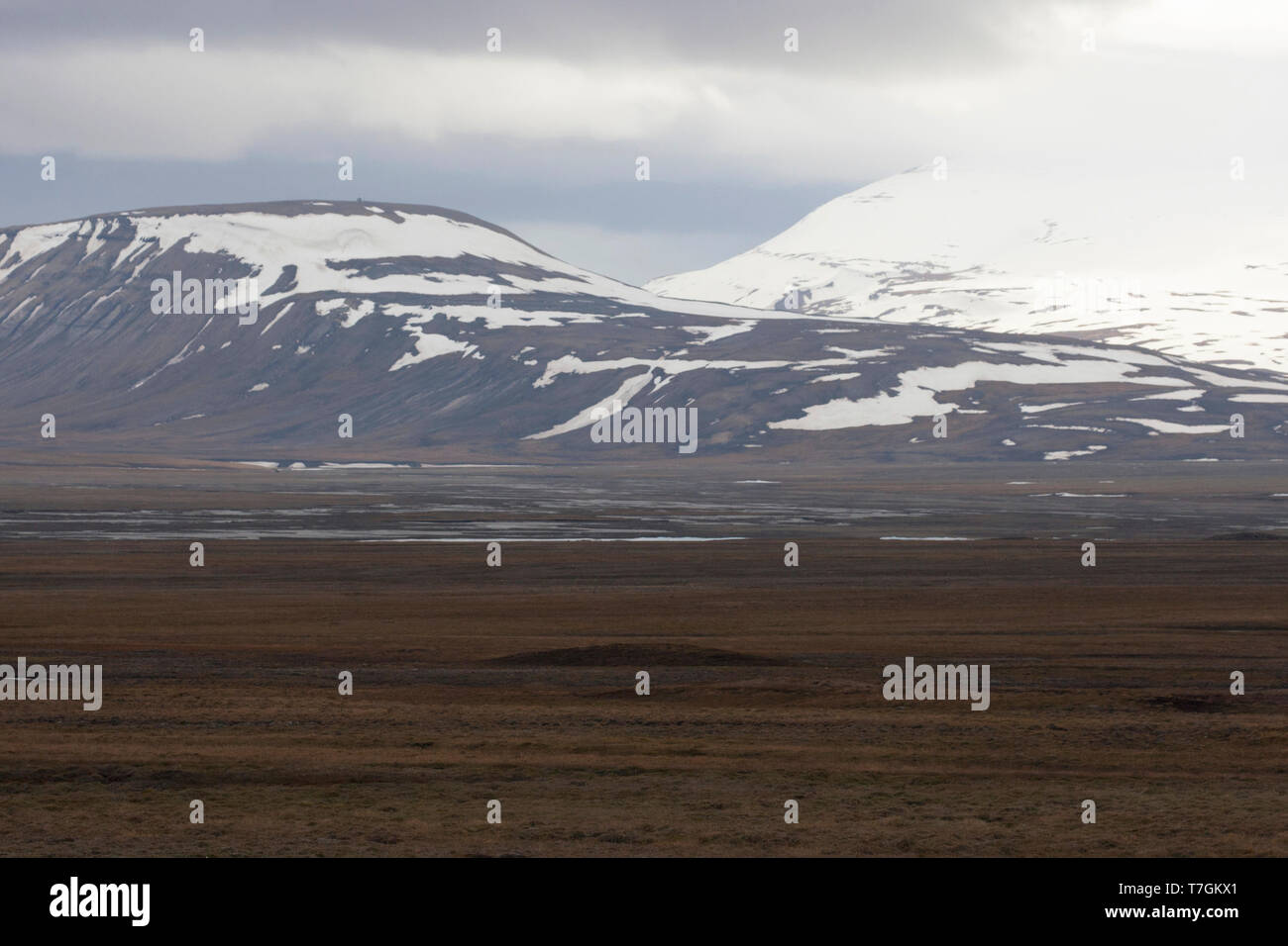 Tundra of svalbard hi-res stock photography and images - Alamy