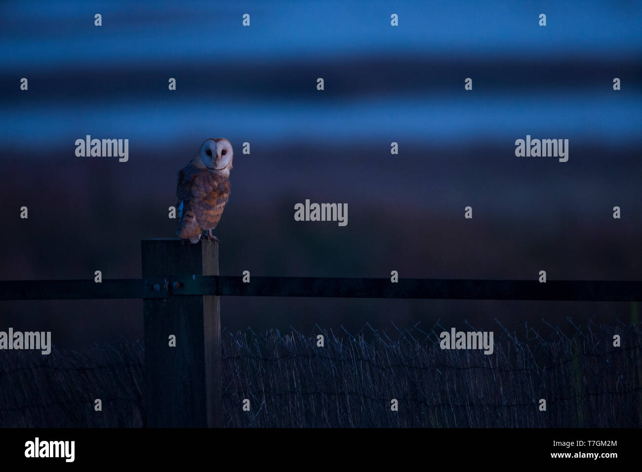 Dark well hi-res stock photography and images - Alamy