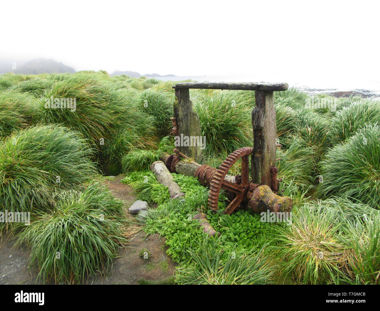 Whaling relics on Macquarie island in the subantarctic region of ...