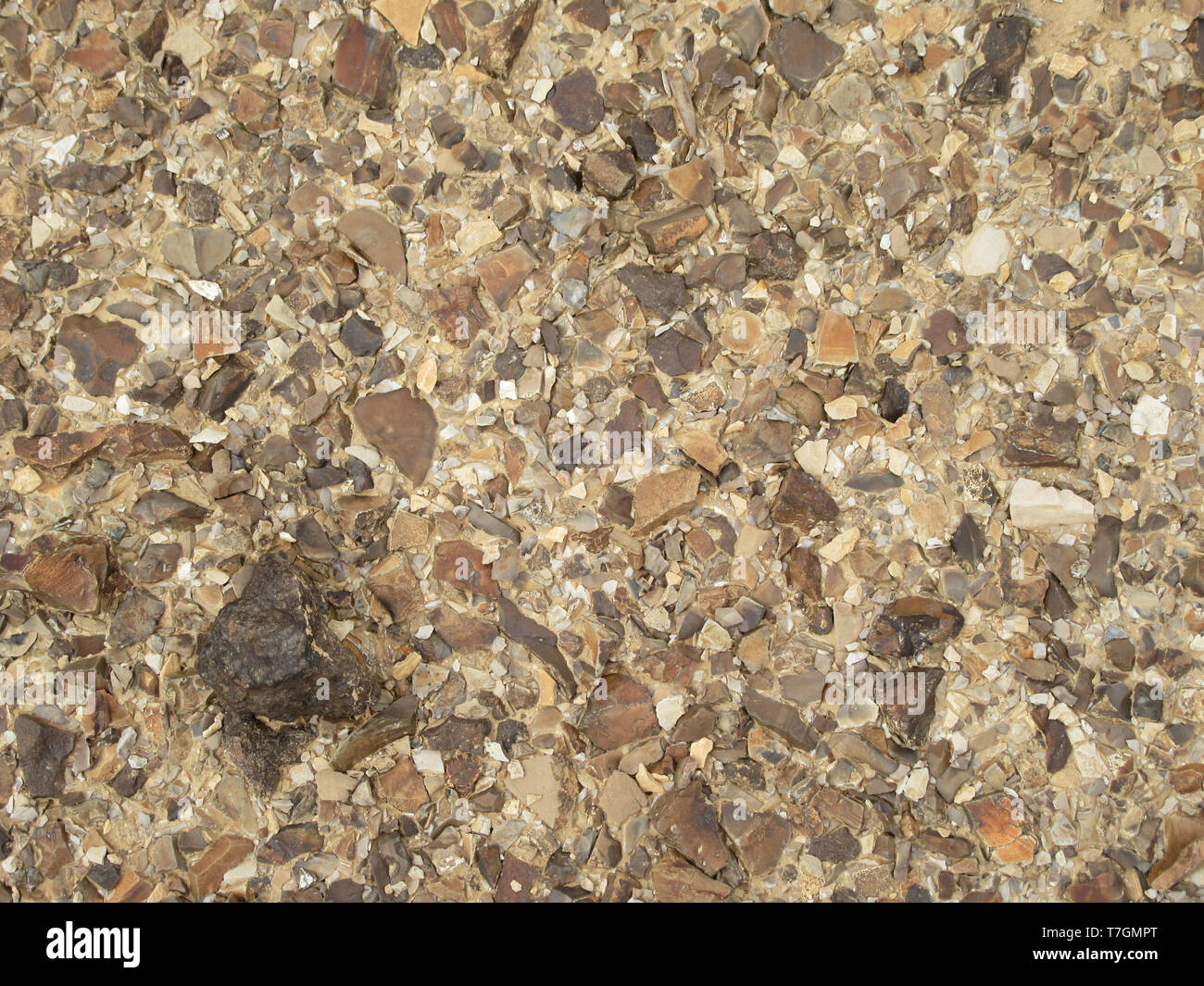 Dry desert ground covered with little rocks, in the southern Negev ...