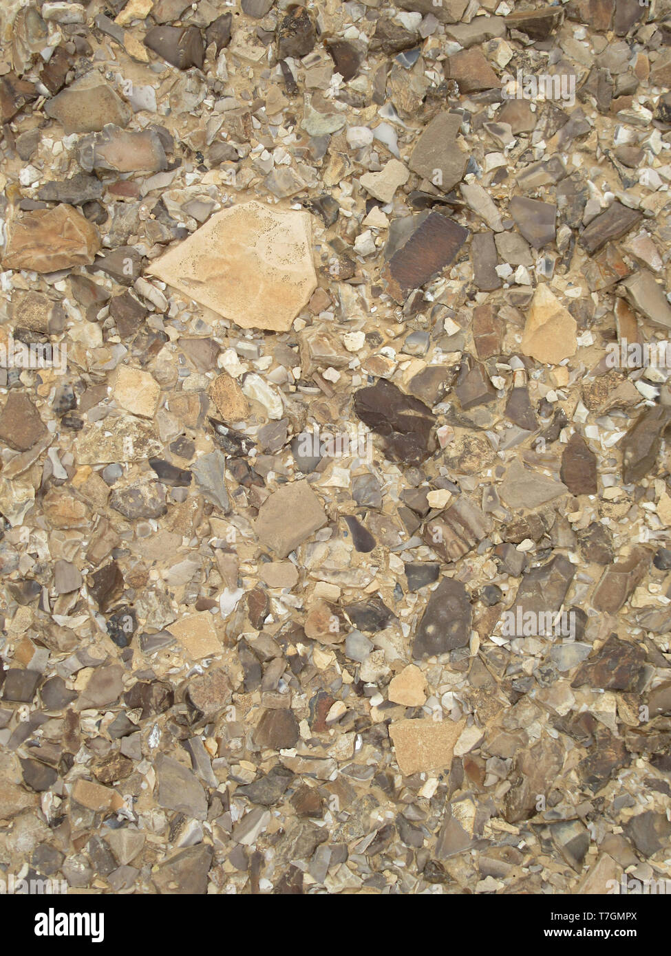 Dry desert ground covered with little rocks, in the southern Negev ...