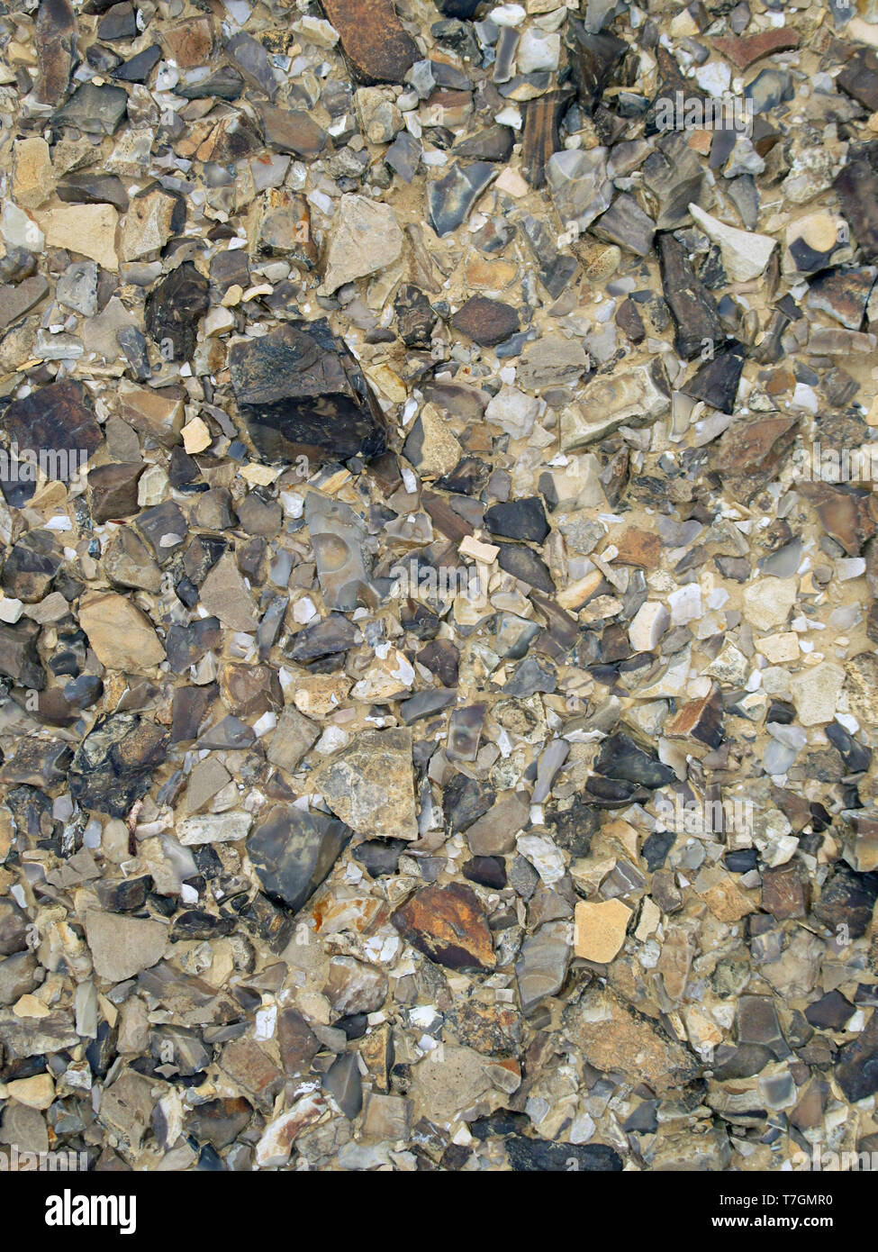 Dry desert ground covered with little rocks, in the southern Negev ...