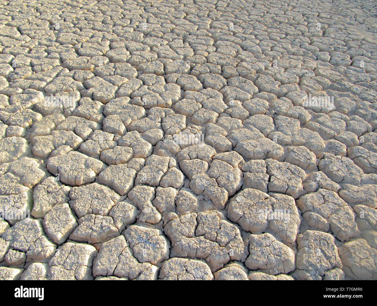 Dried out river bed (wadi) in Negev desert of Israel around the Dead ...