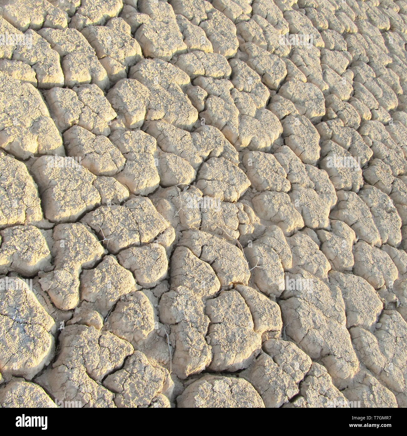 Dried out river bed (wadi) in Negev desert of Israel around the Dead ...
