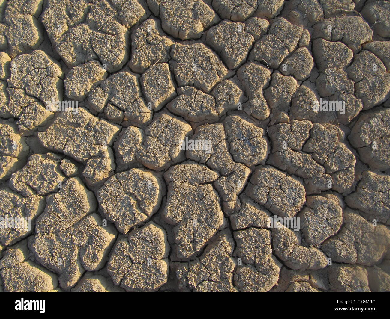 Dried out river bed (wadi) in Negev desert of Israel around the Dead ...