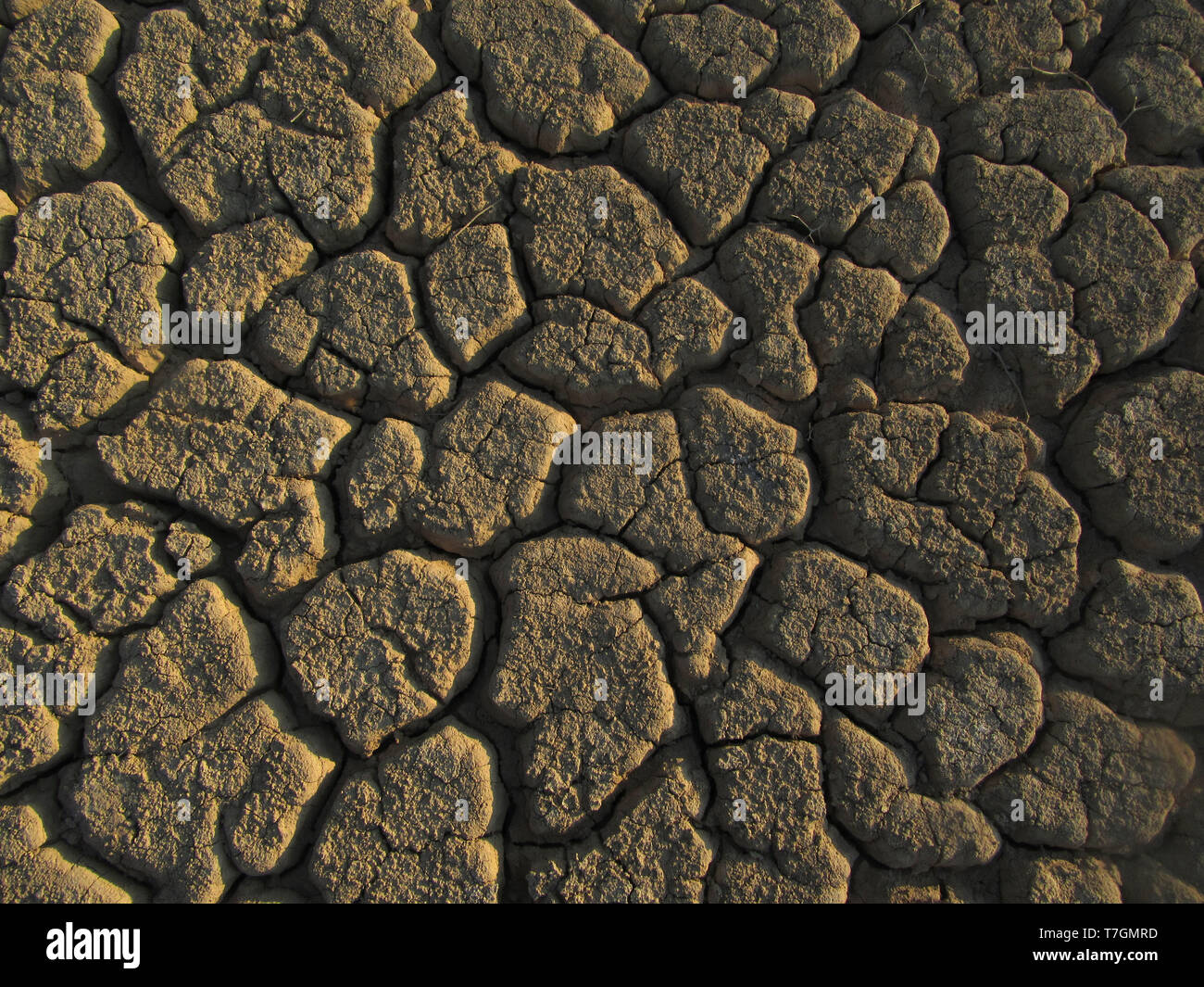 Dried out river bed (wadi) in Negev desert of Israel around the Dead ...