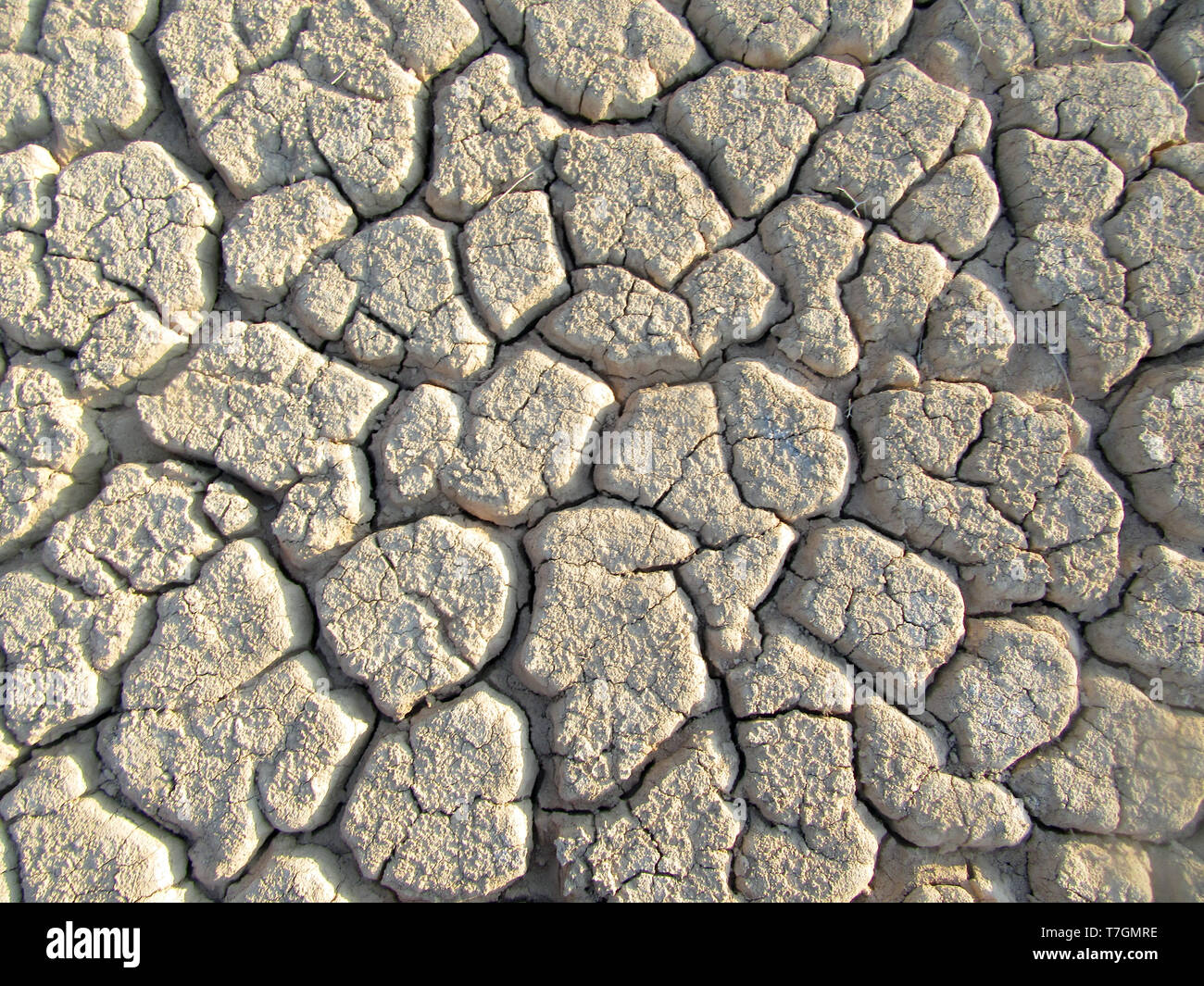 Dried out river bed (wadi) in Negev desert of Israel around the Dead ...