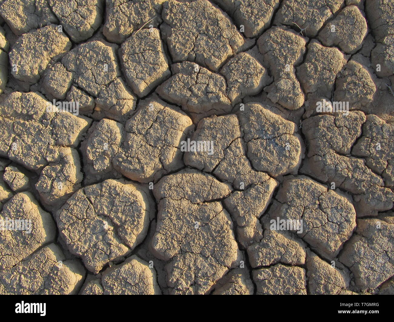 Dried out river bed (wadi) in Negev desert of Israel around the Dead ...