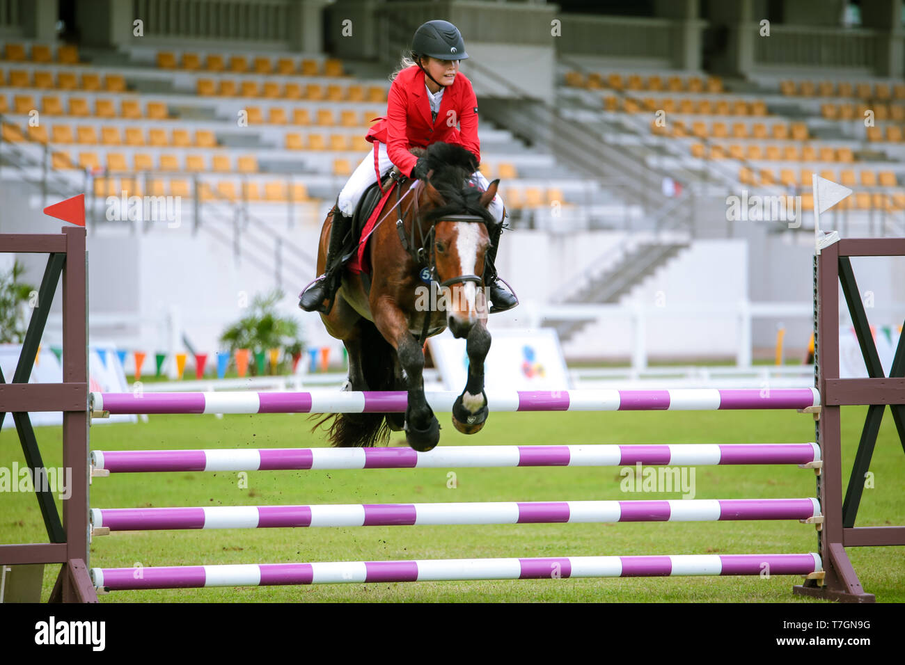 Horse rider jumping over obsticle during a horse back riding competiton ...
