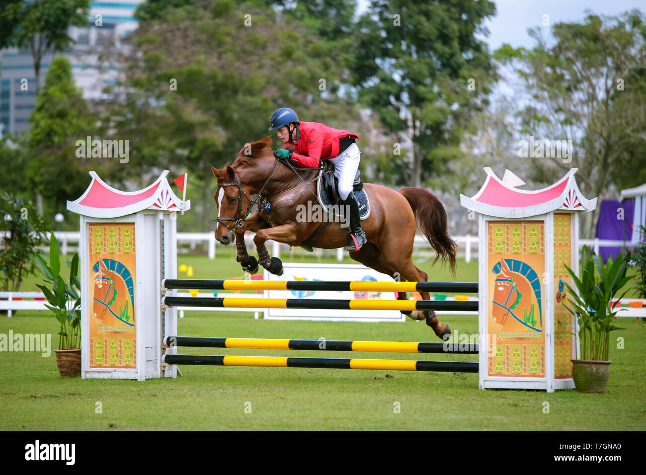 Horse rider jumping over obsticle during a horse back riding competiton ...