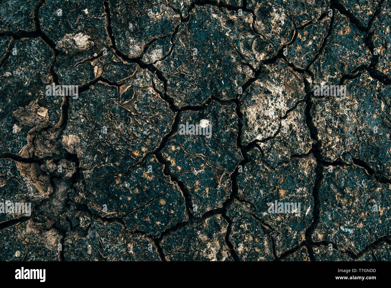 Mud cracks texture top view, dried and contracted muddy sediment from ...