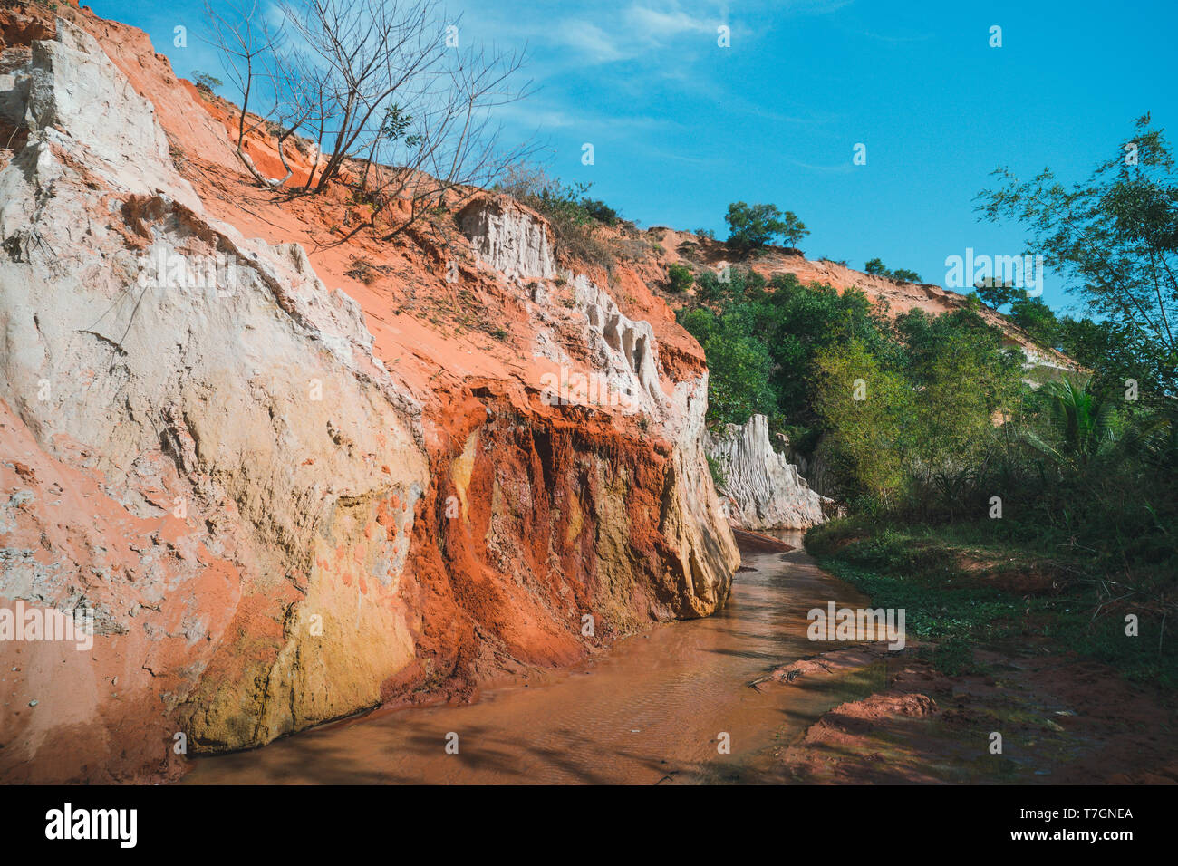 Oasis scenery hi-res stock photography and images - Alamy