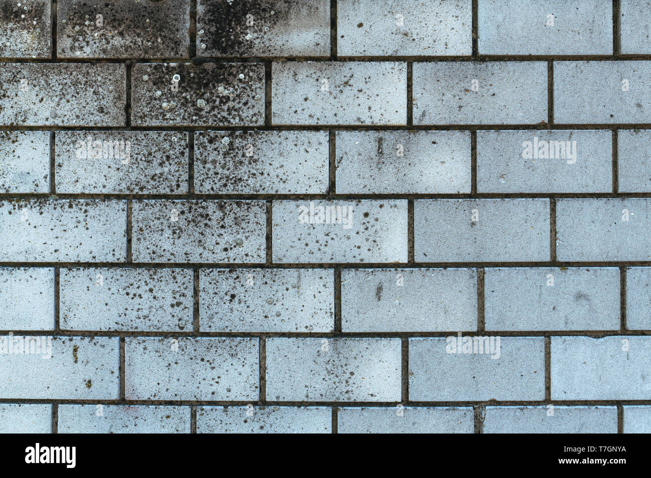 Lime sand brick wall hi-res stock photography and images - Alamy