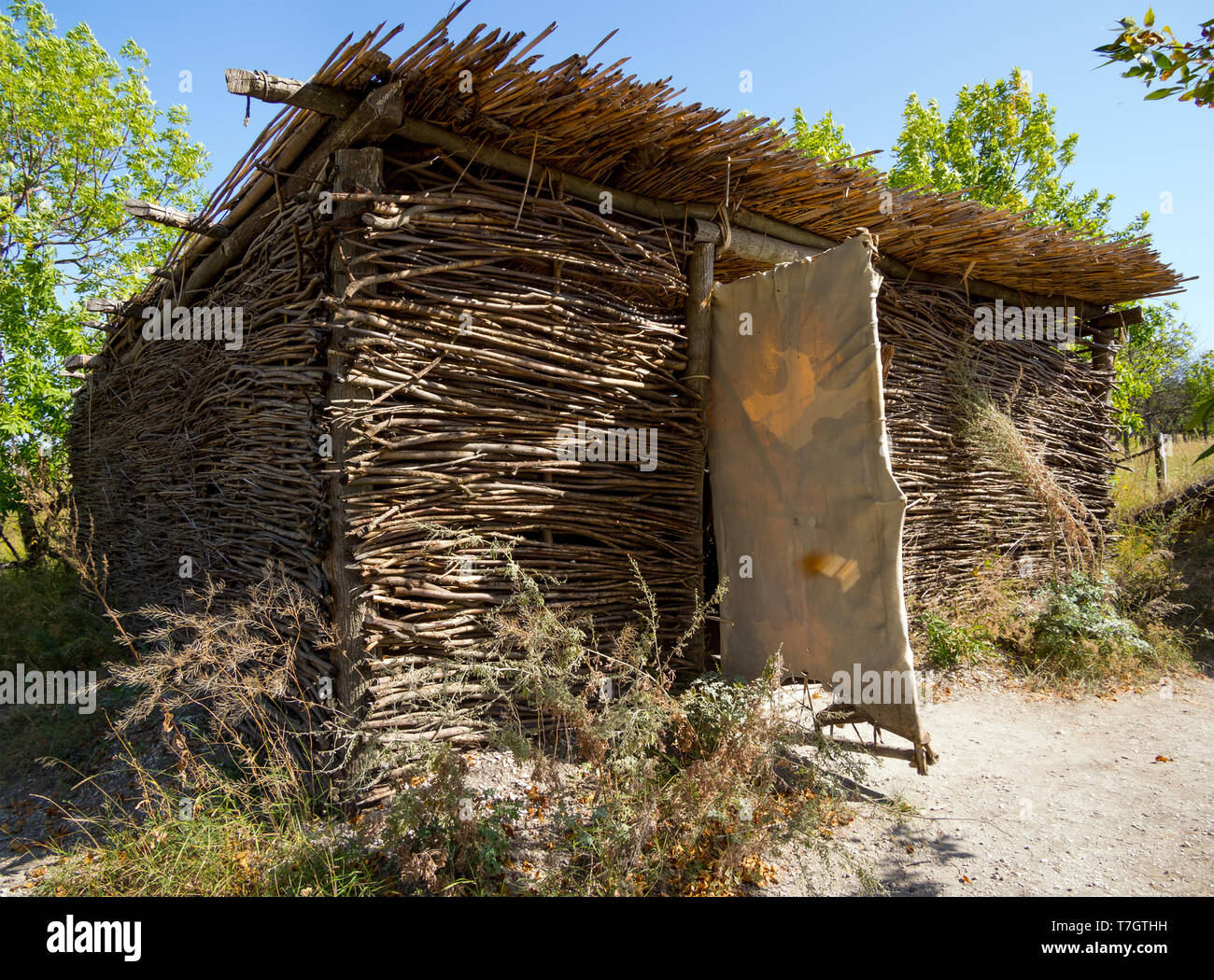 A hut with walls of interlaced twigs, covered with reeds Stock Photo ...