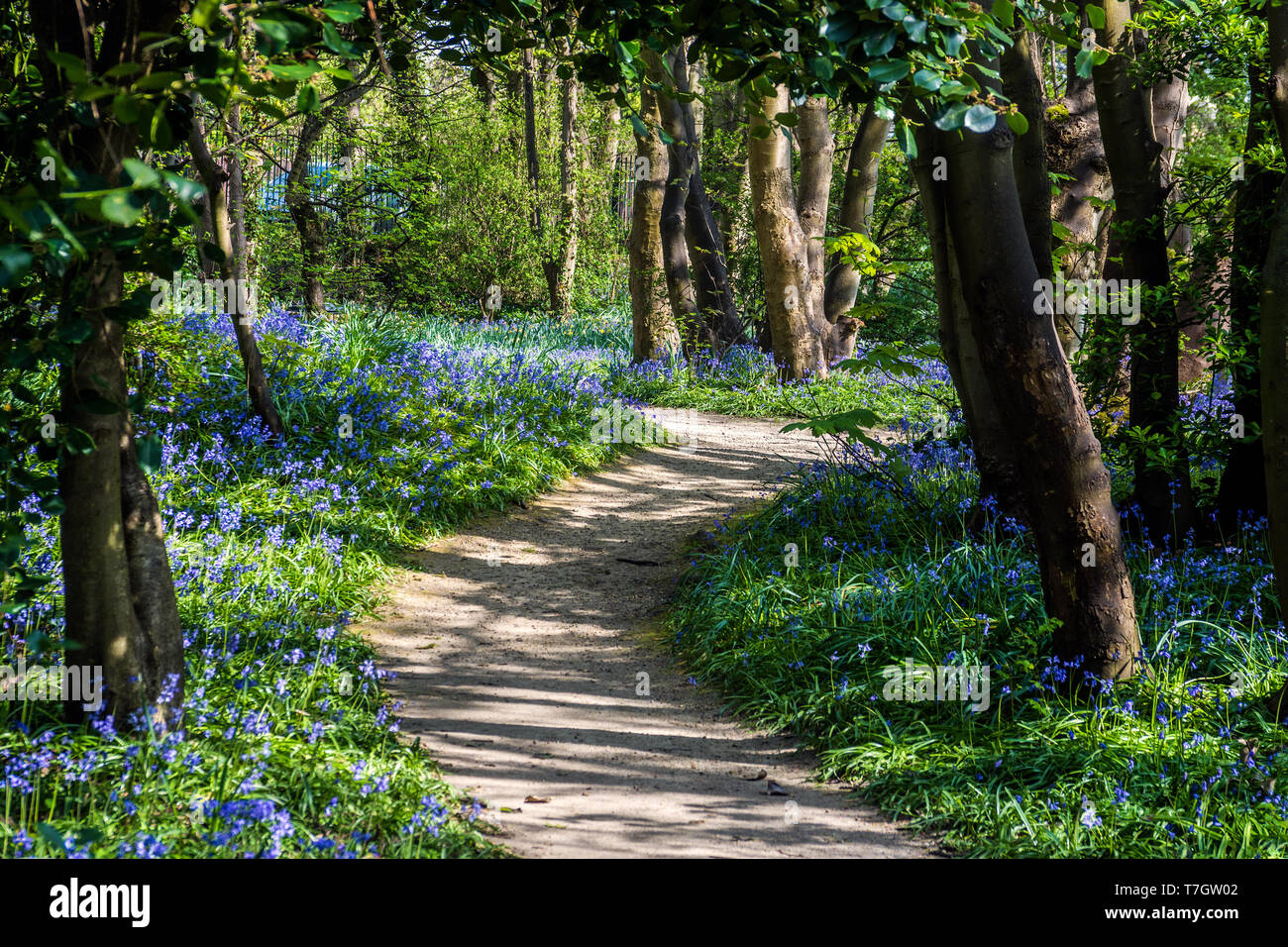 Liverpool pathway hi-res stock photography and images - Alamy