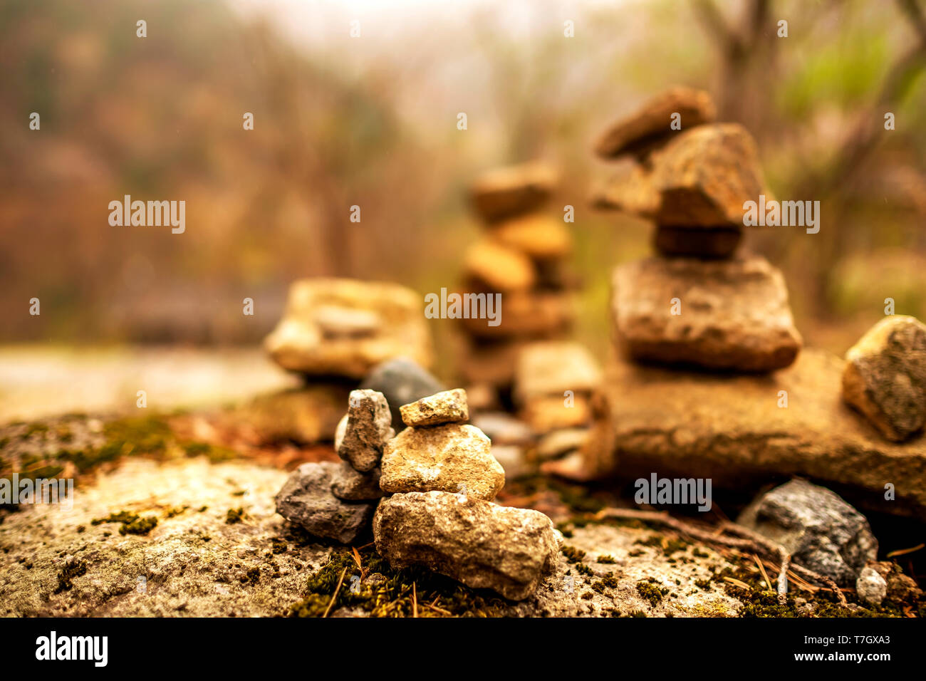 Arranged photography hi-res stock photography and images - Alamy