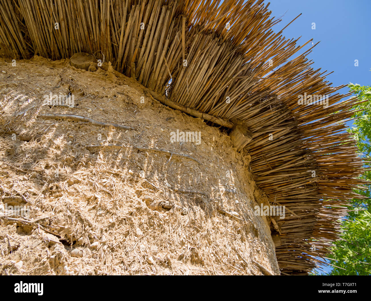 Fragment of a cane hut with a reed roof Stock Photo - Alamy
