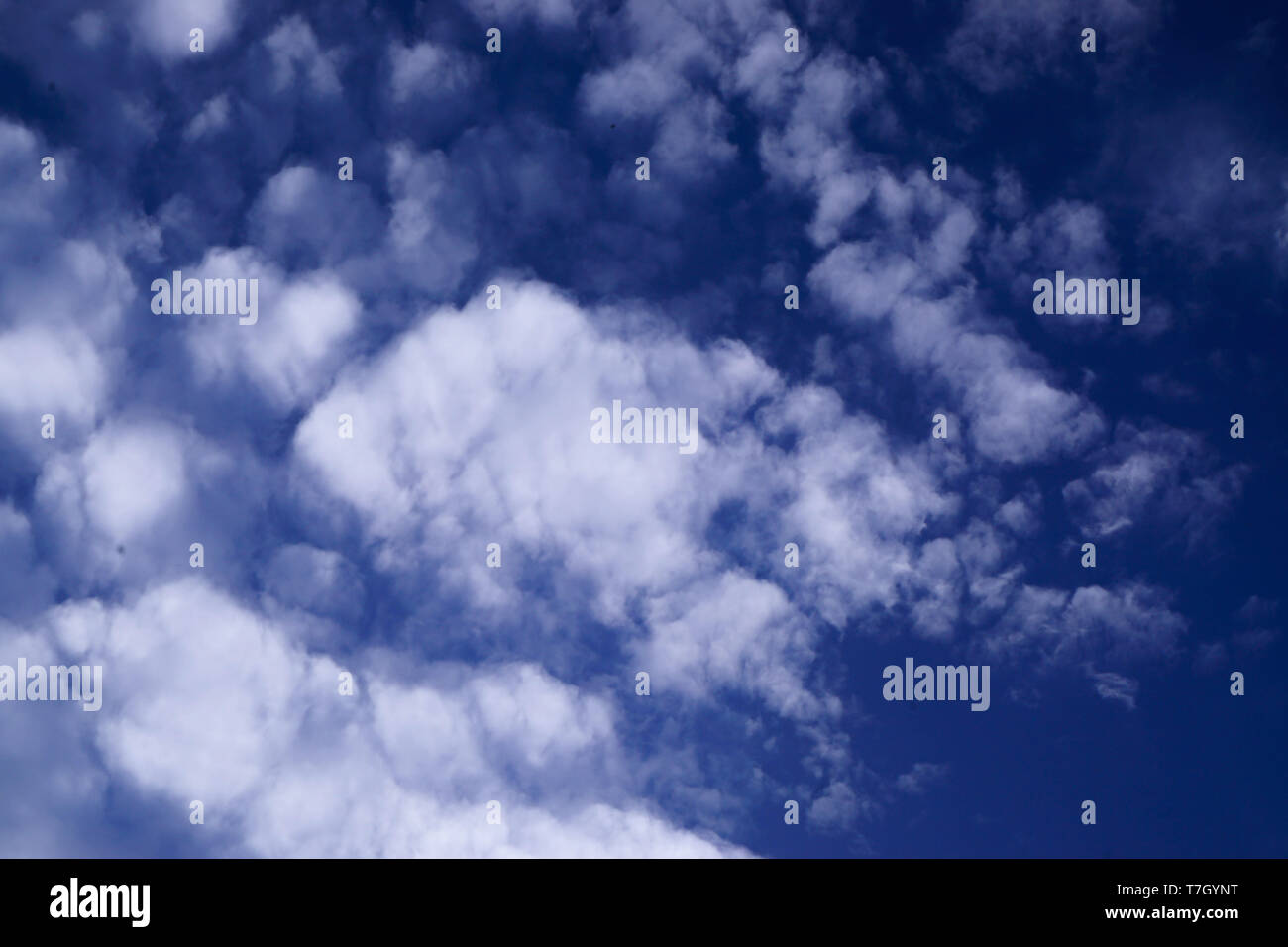 Beautiful cloudscape cumulus white hi-res stock photography and images ...