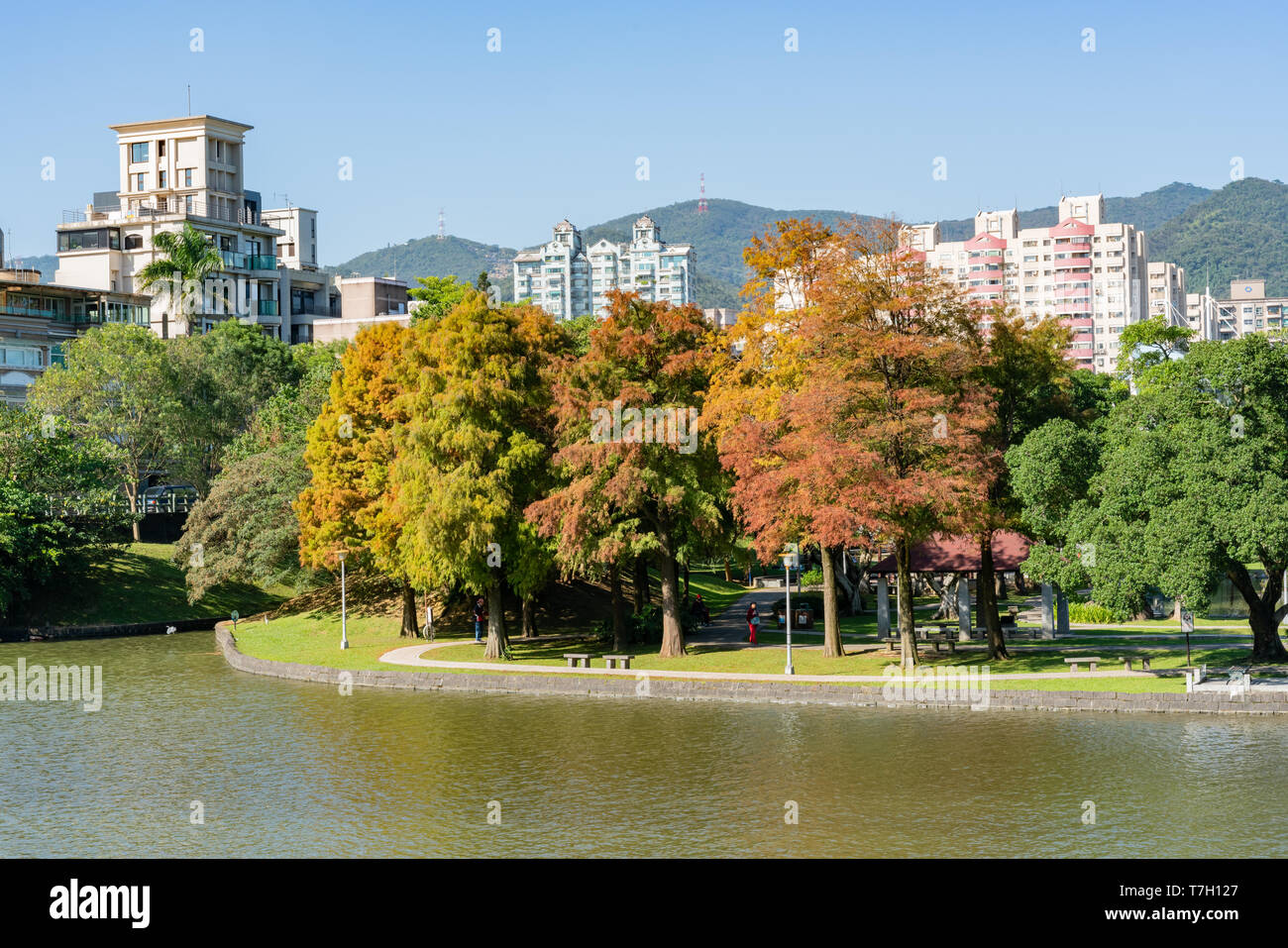 Taipei, DEC 17: Nature scene around Dahu Park on DEC 17, 2018 at Taipei ...