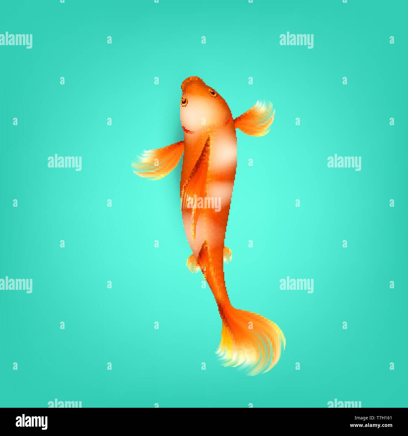 Chinese Orange Koi Fish With White Spots Vector Stock Vector Image ...
