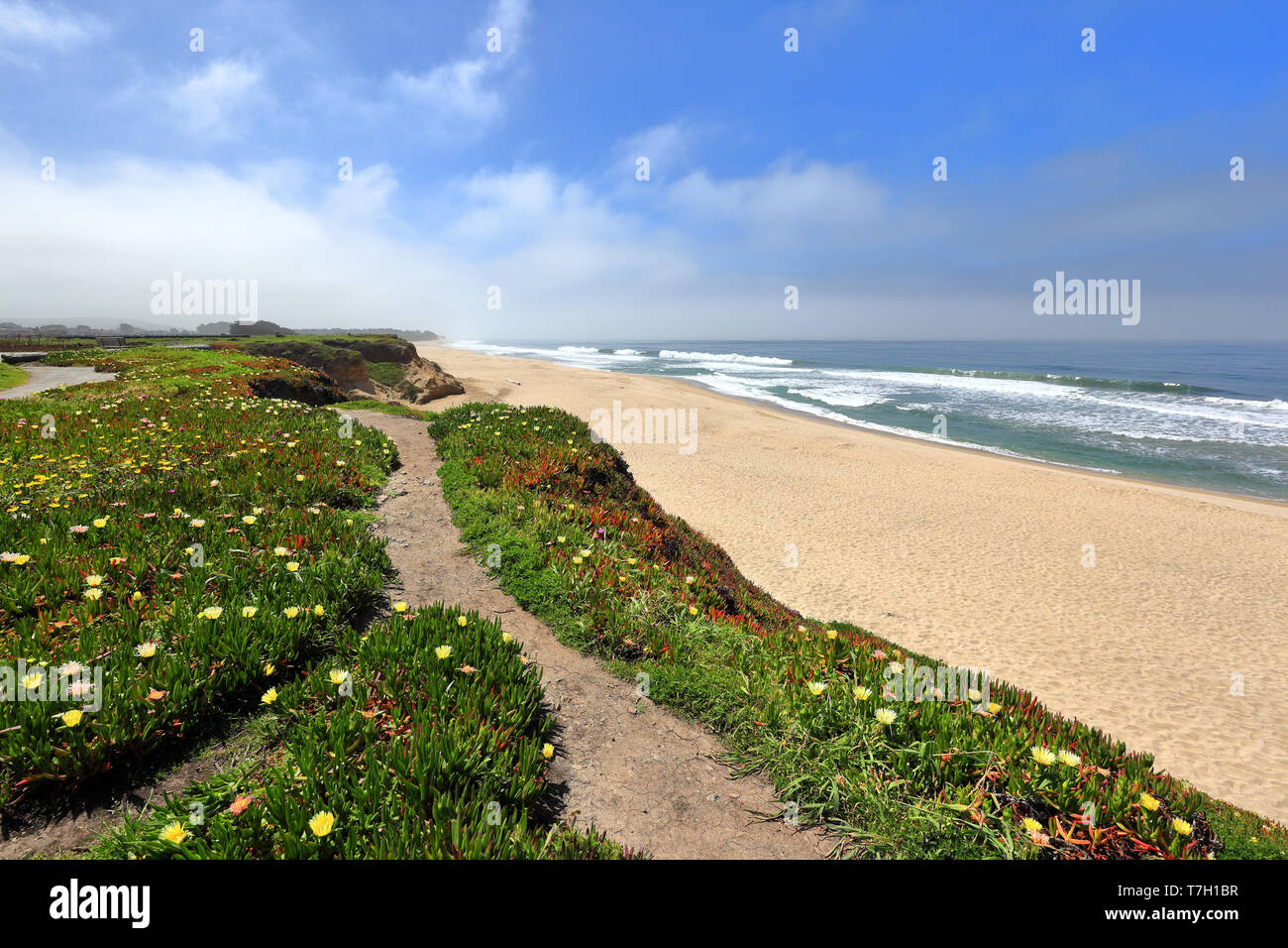 Half Moon Bay Beach in California Stock Photo - Alamy