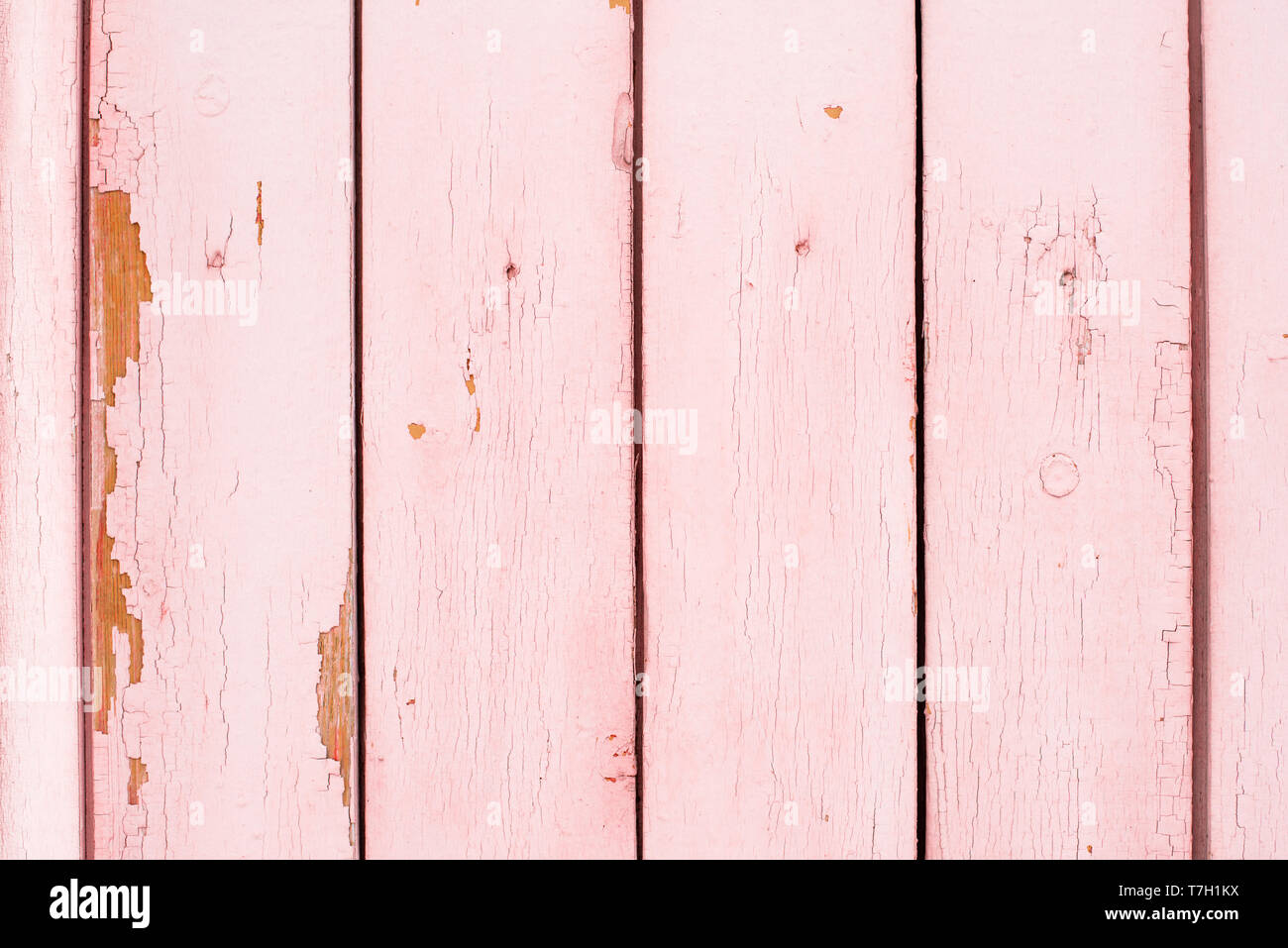 Pink wood texture. Old wooden painted surface with flaky paint. Copy ...