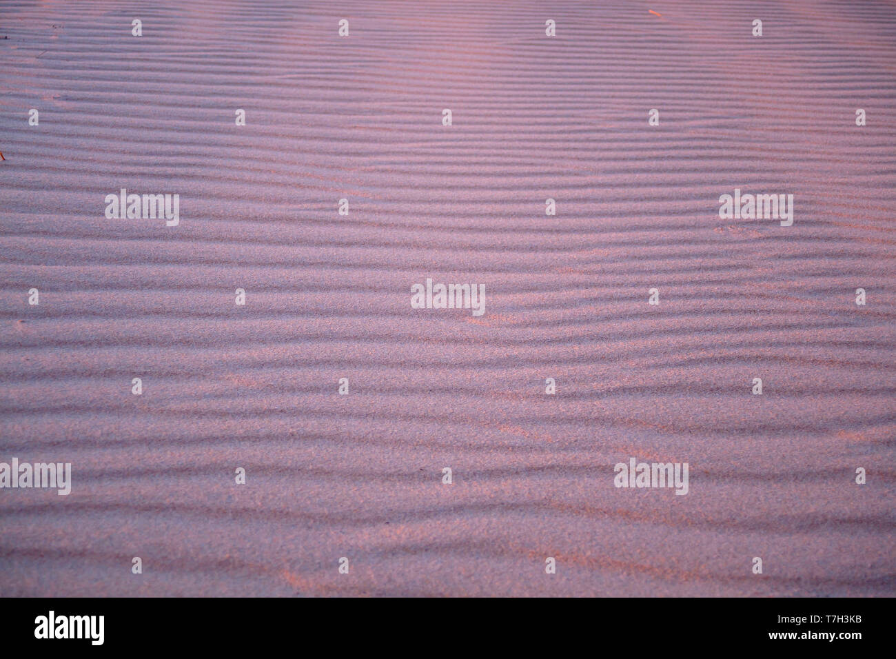 Coastal sand patterns hi-res stock photography and images - Alamy