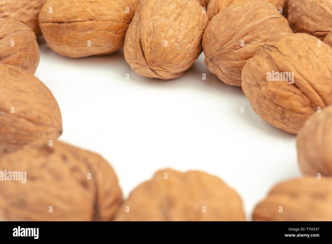 Walnuts form a circle on white background. Close-up of many fresh ...