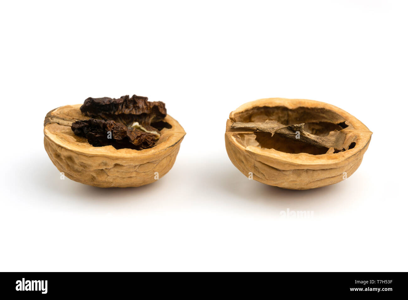 Rotten walnuts hi-res stock photography and images - Alamy