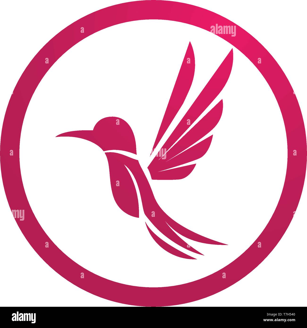 Hummingbird icon logo and symbols template vector Stock Vector Image ...