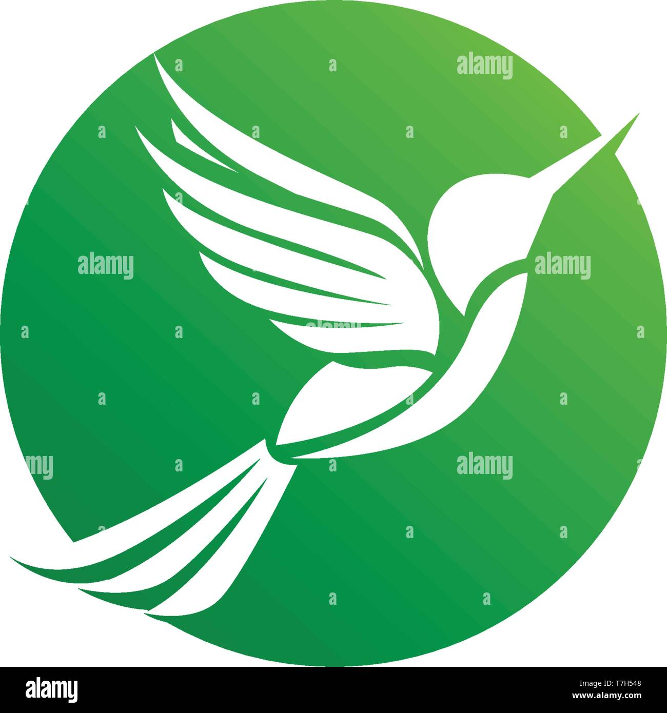 Hummingbird Logo Vector High Resolution Stock Photography and Images ...