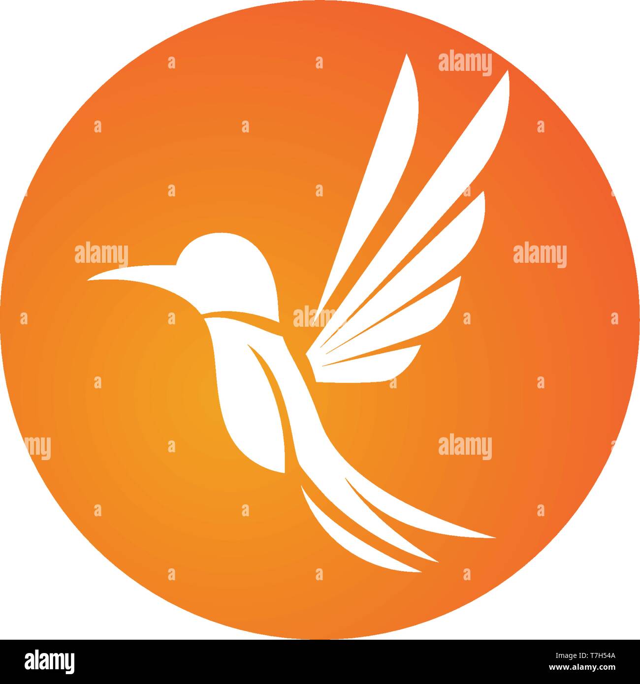 Hummingbird icon logo and symbols template vector Stock Vector Image ...